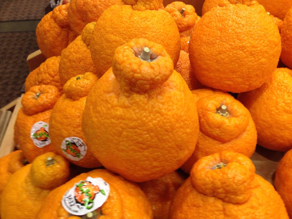 What's the new and trendy variety this year? - General Fruit Growing ...