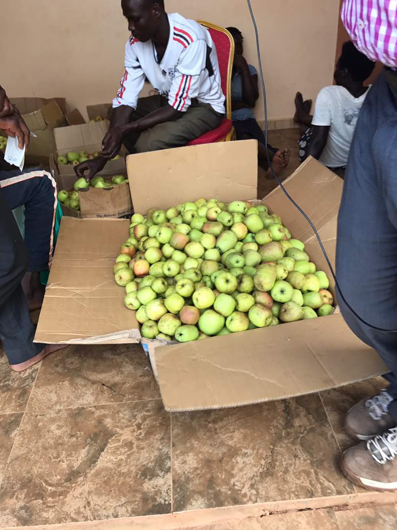 May Uganda Apple Nursery Update Pictures Growing Fruit May Uganda Apple Nursery Update Pictures Growing Fruit