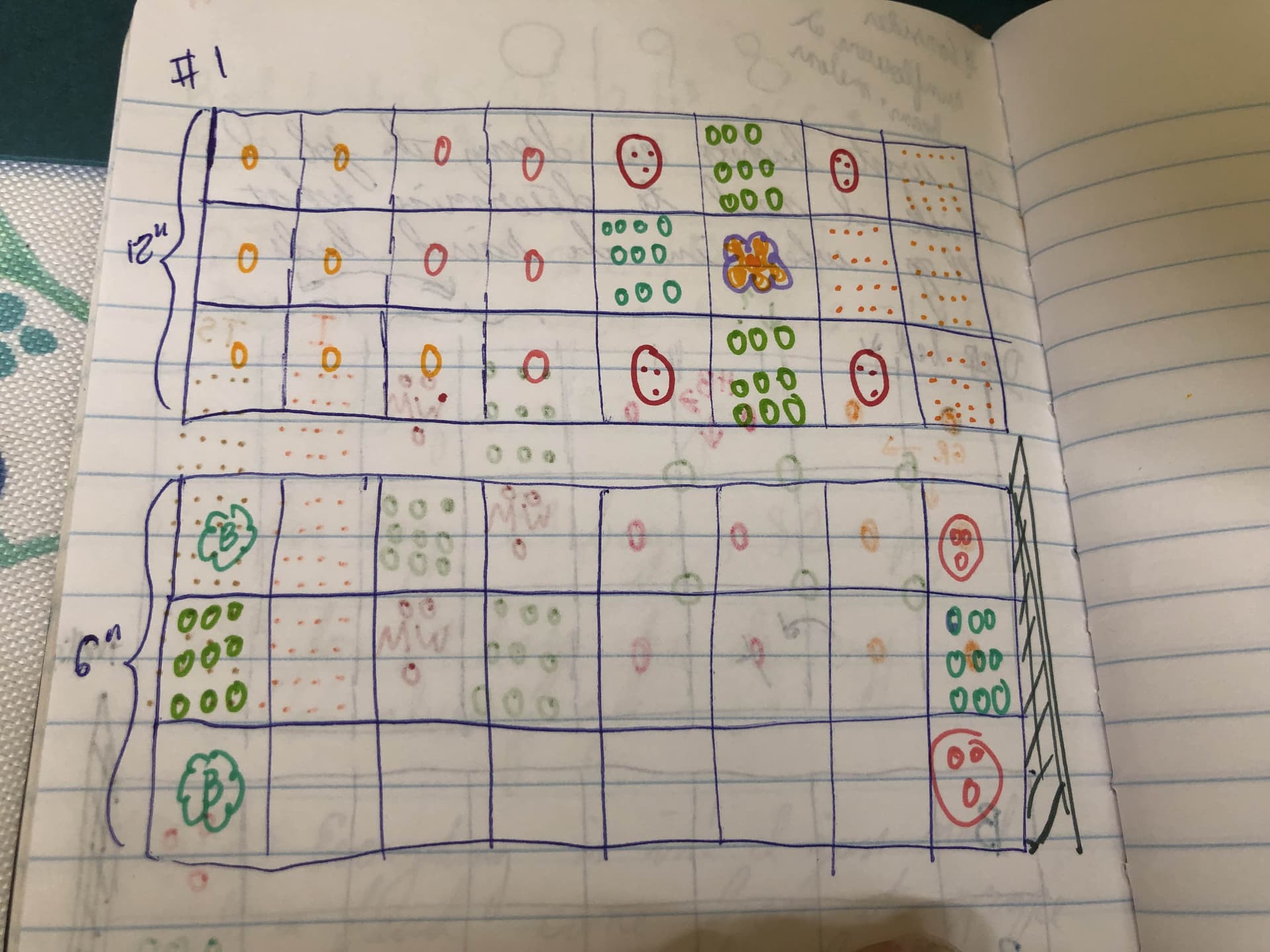 Raised bed layout! Thoughts? - General Gardening - Growing Fruit