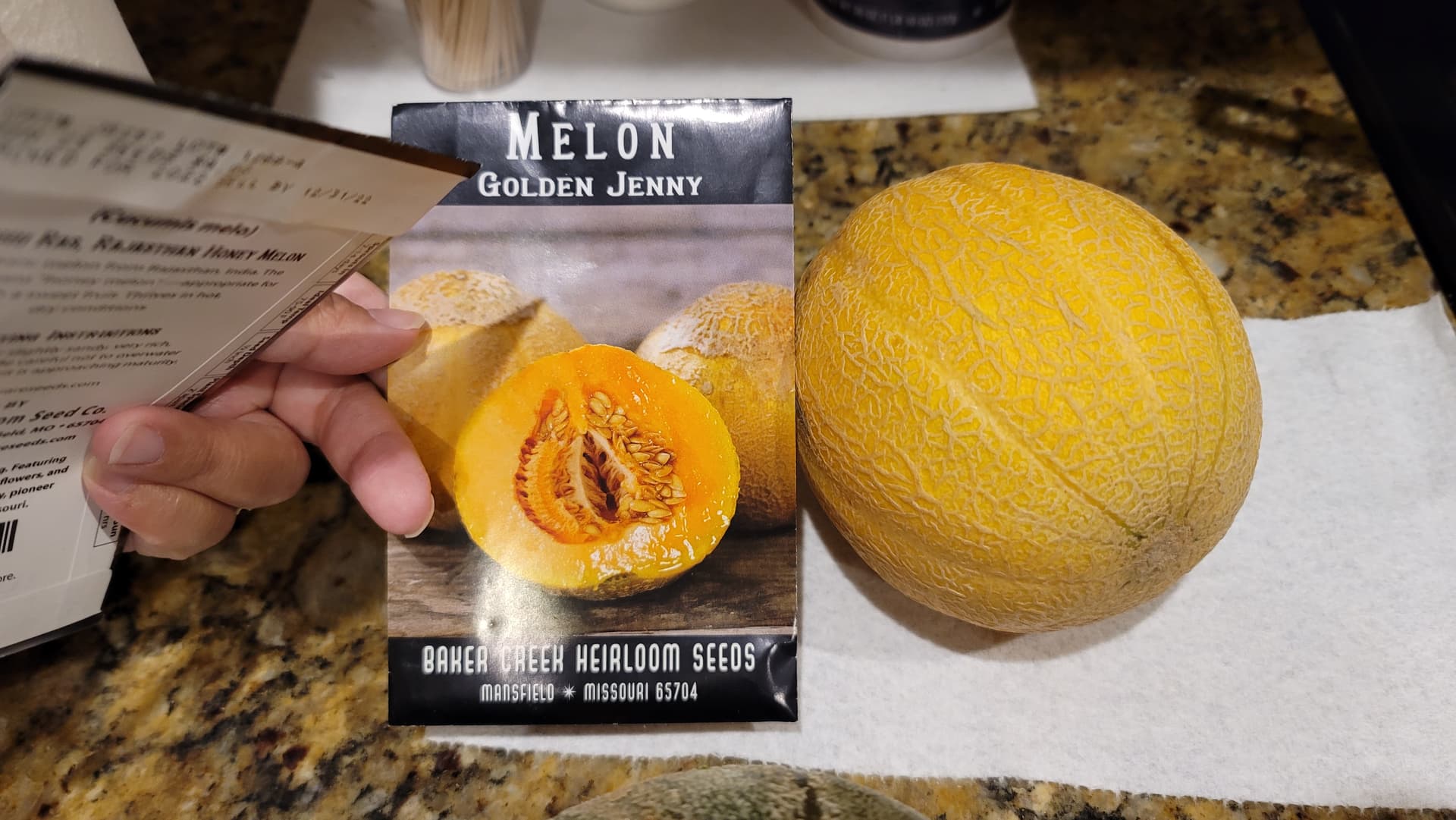 Pet Rocks for Melons - General Gardening - Growing Fruit