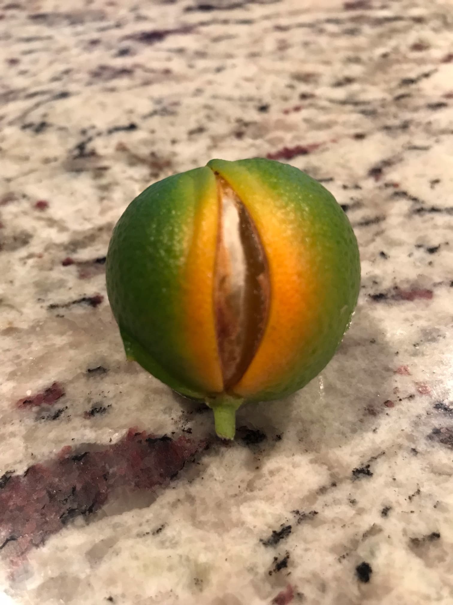 Red lime splitting - General Fruit Growing - Growing Fruit