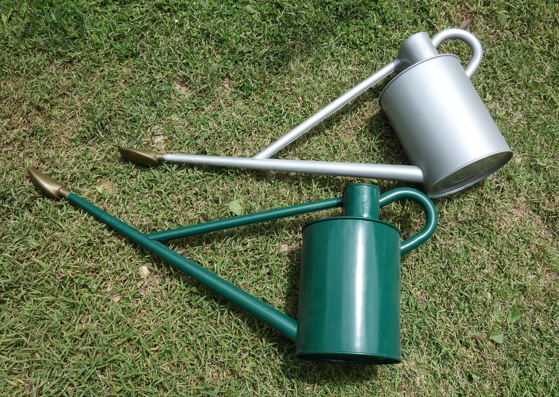 Getting rid of all this garden crap! - General Gardening - Growing Fruit