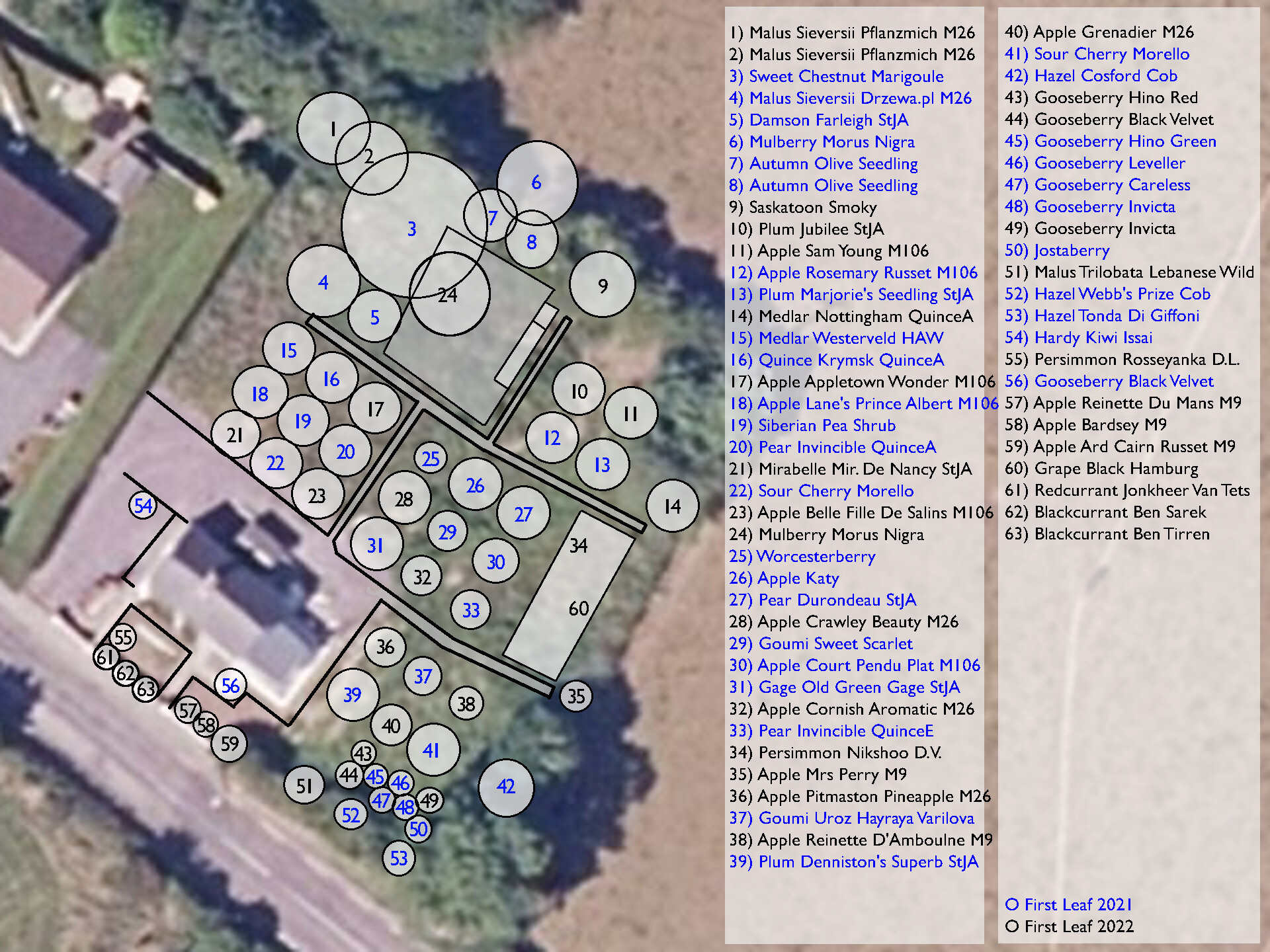 Orchard Mapping - Page 2 - General Fruit Growing - Growing Fruit
