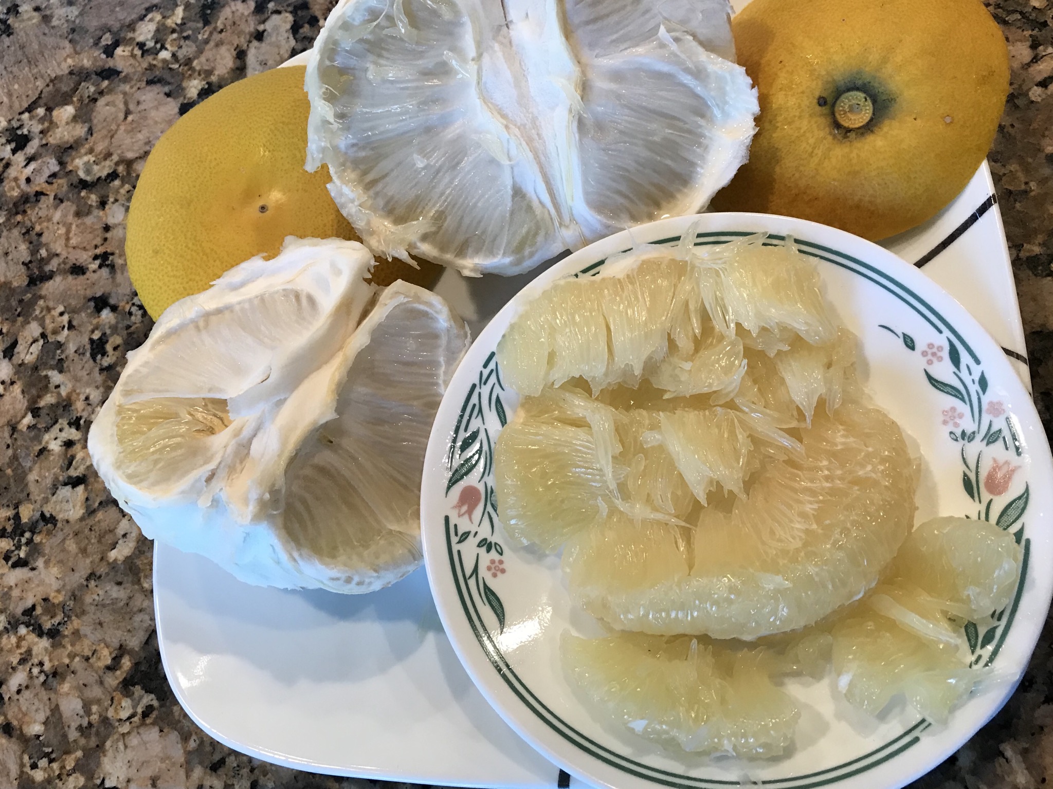 First fruit of the Potted Thong Dee Pomelo! - Pictures! - Growing Fruit