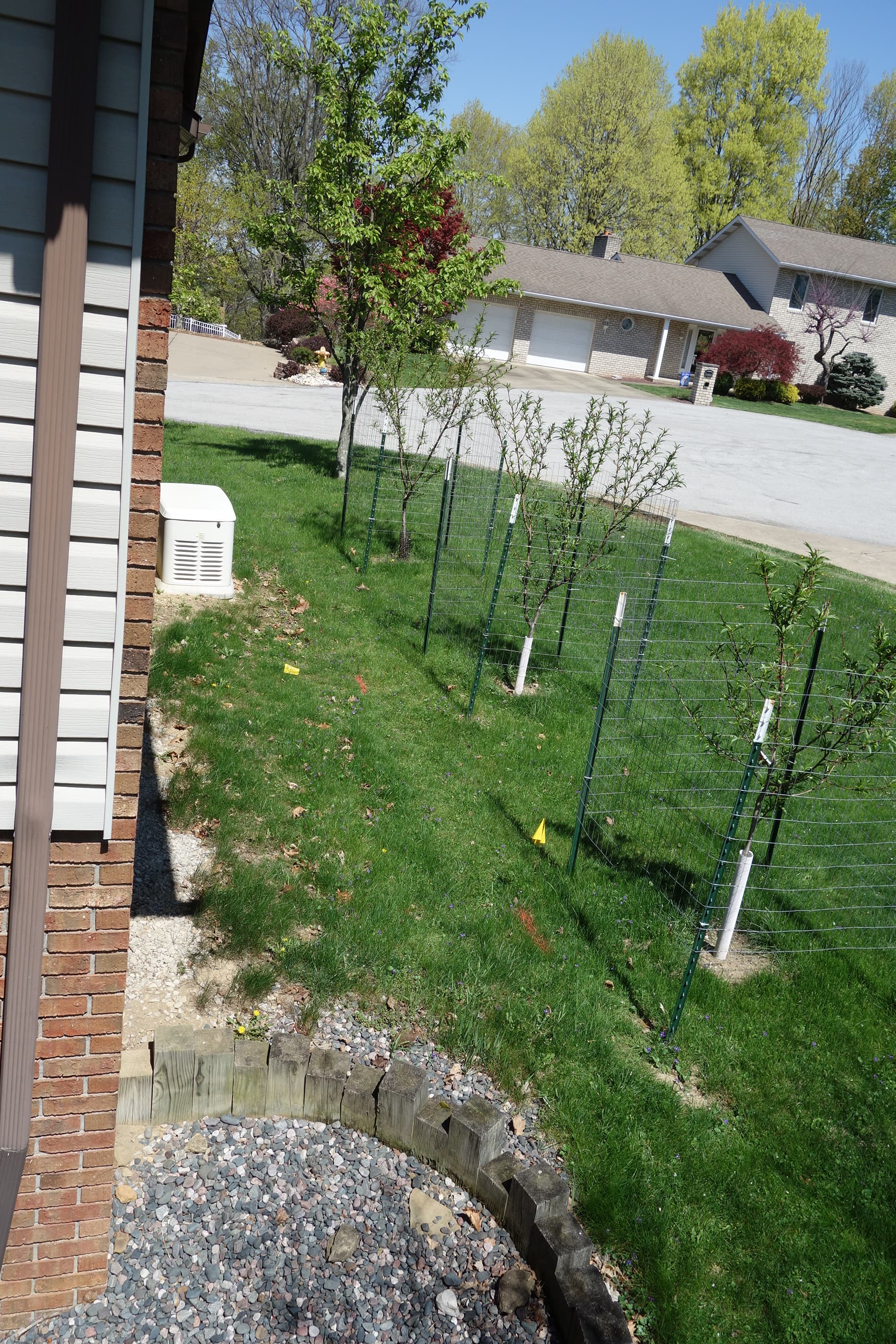 Before you plant...call the dig line! - General Fruit Growing - Growing ...