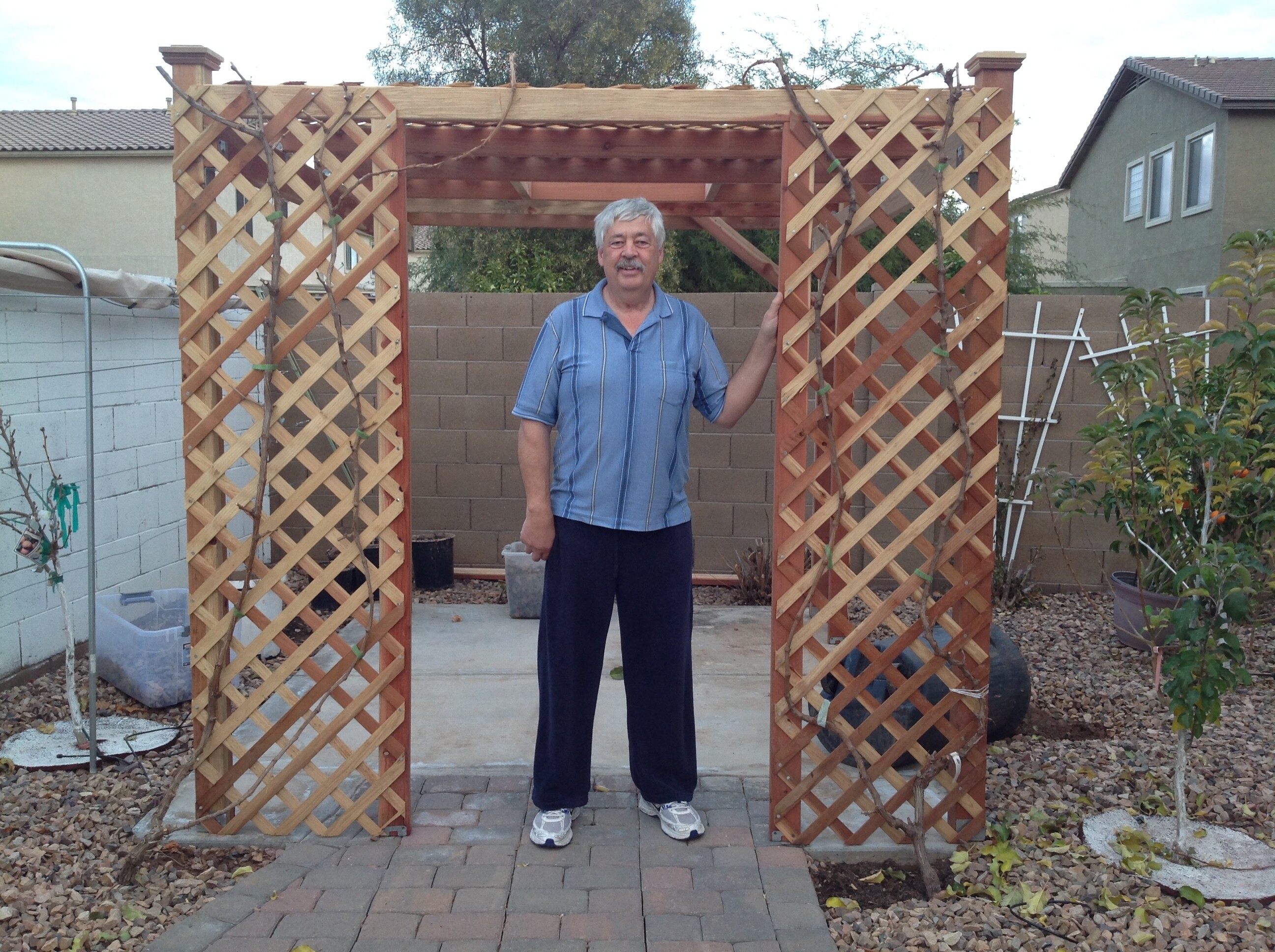 New grape arbor - General Fruit Growing - Growing Fruit