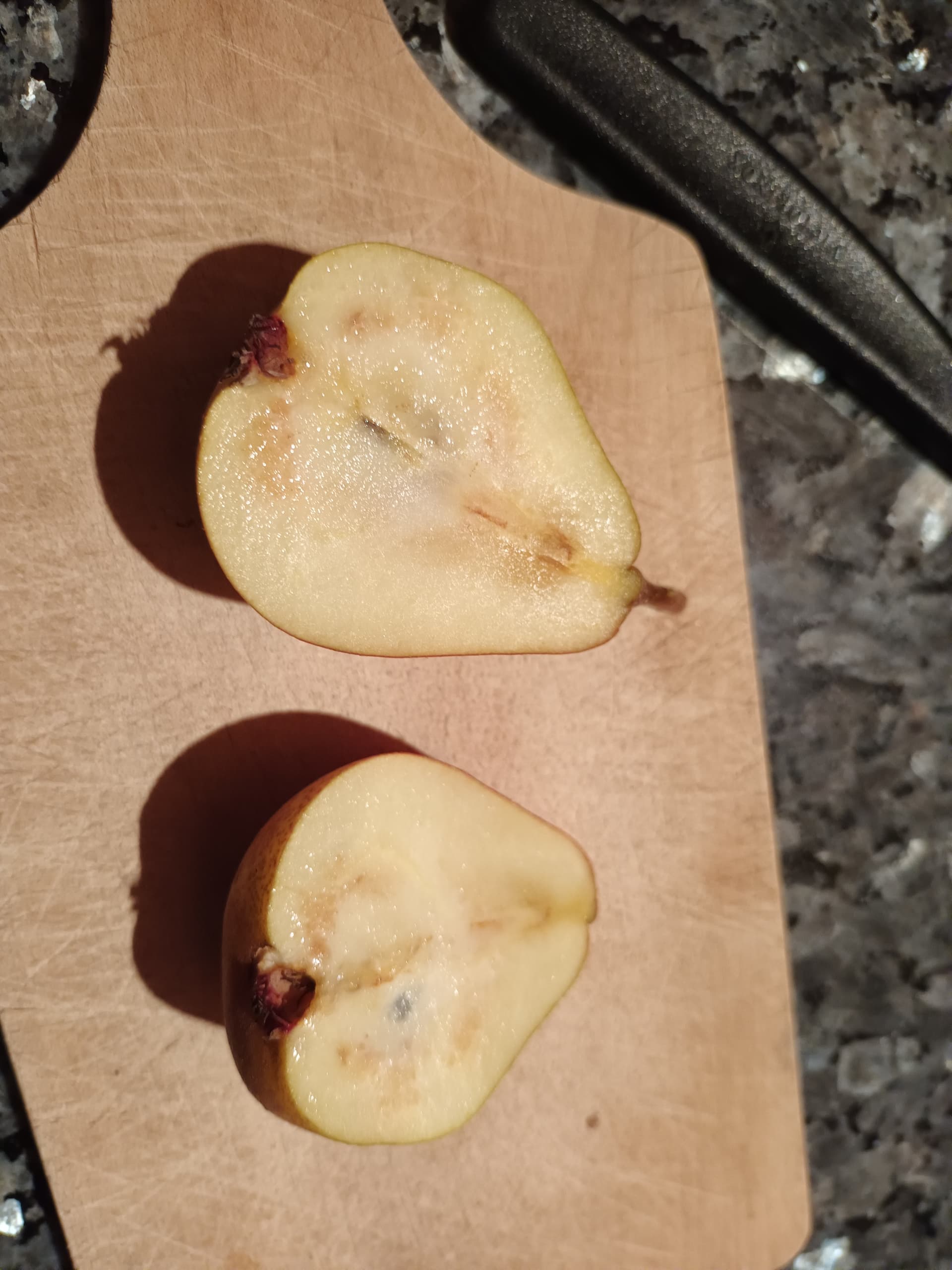New fruit in my orchard - General Fruit Growing - Growing Fruit