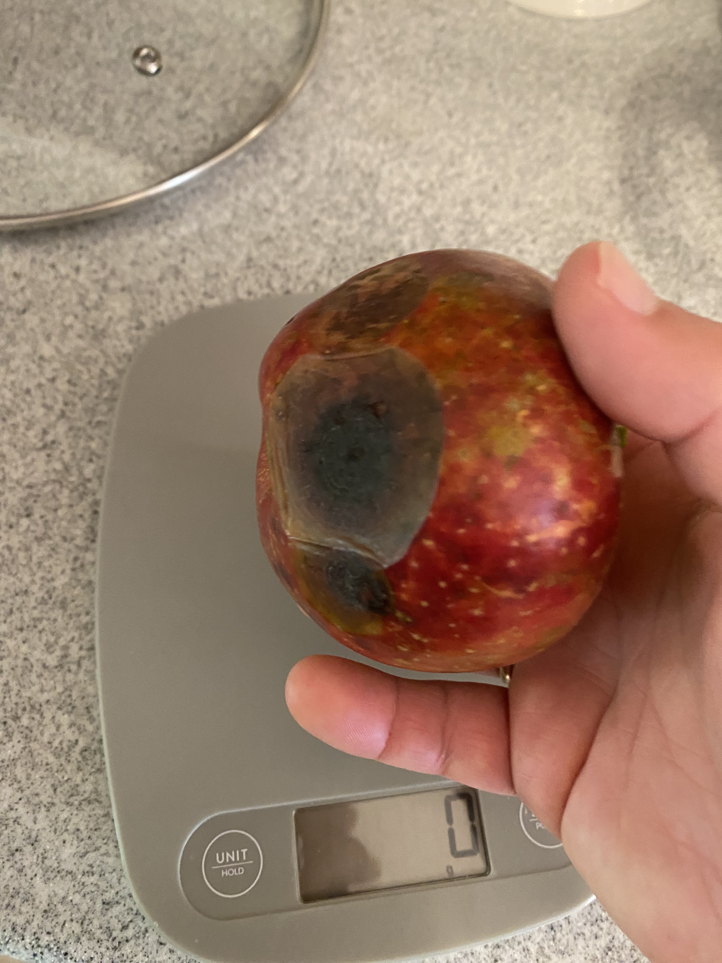 Kudos apple - 2025 - General Fruit Growing - Growing Fruit