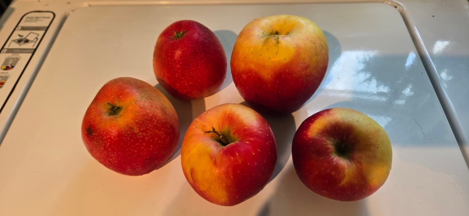 Ruby Rush Apples 8 Months Storage - General Fruit Growing - Growing Fruit