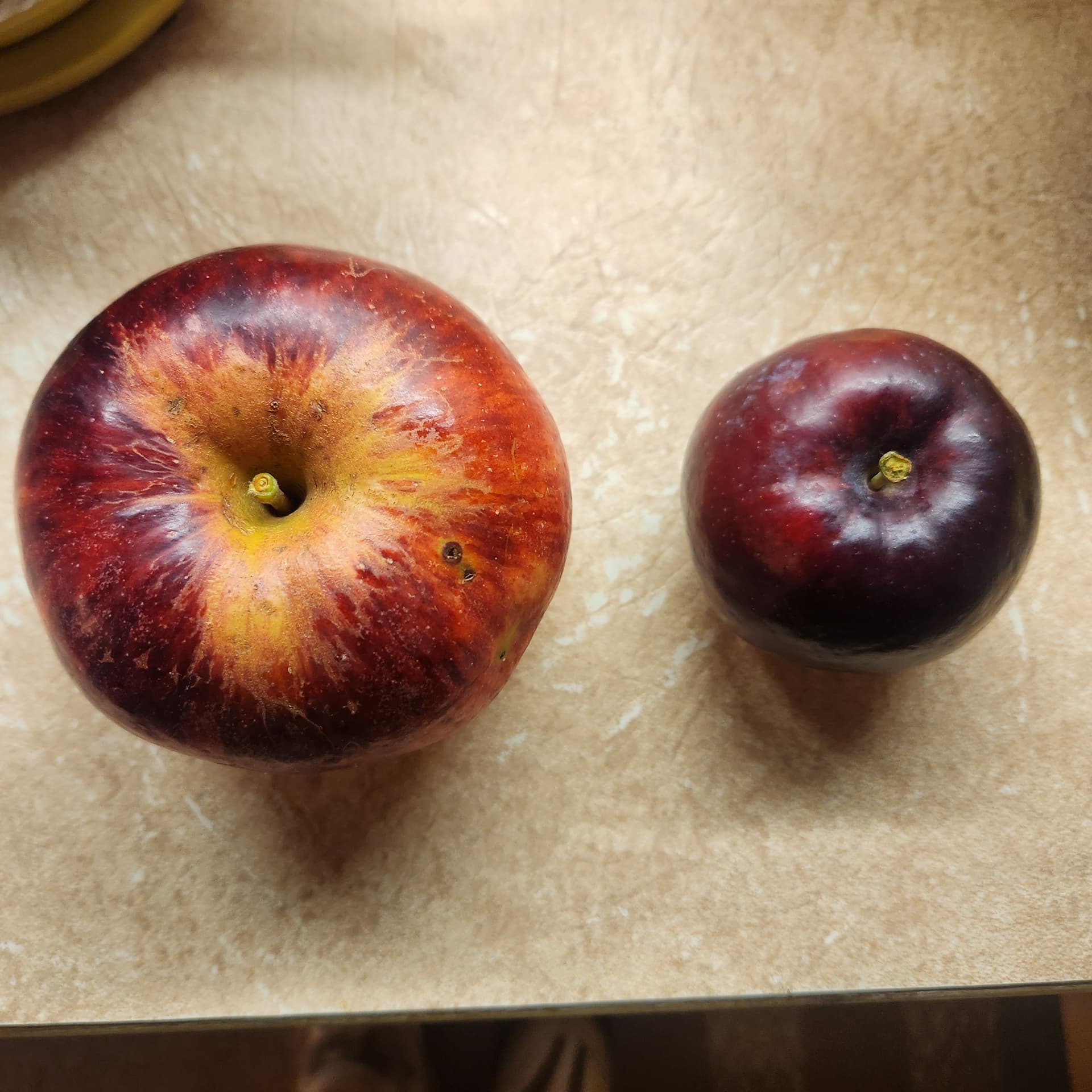 Williams Pride Apple Ripen Date - General Fruit Growing - Growing Fruit