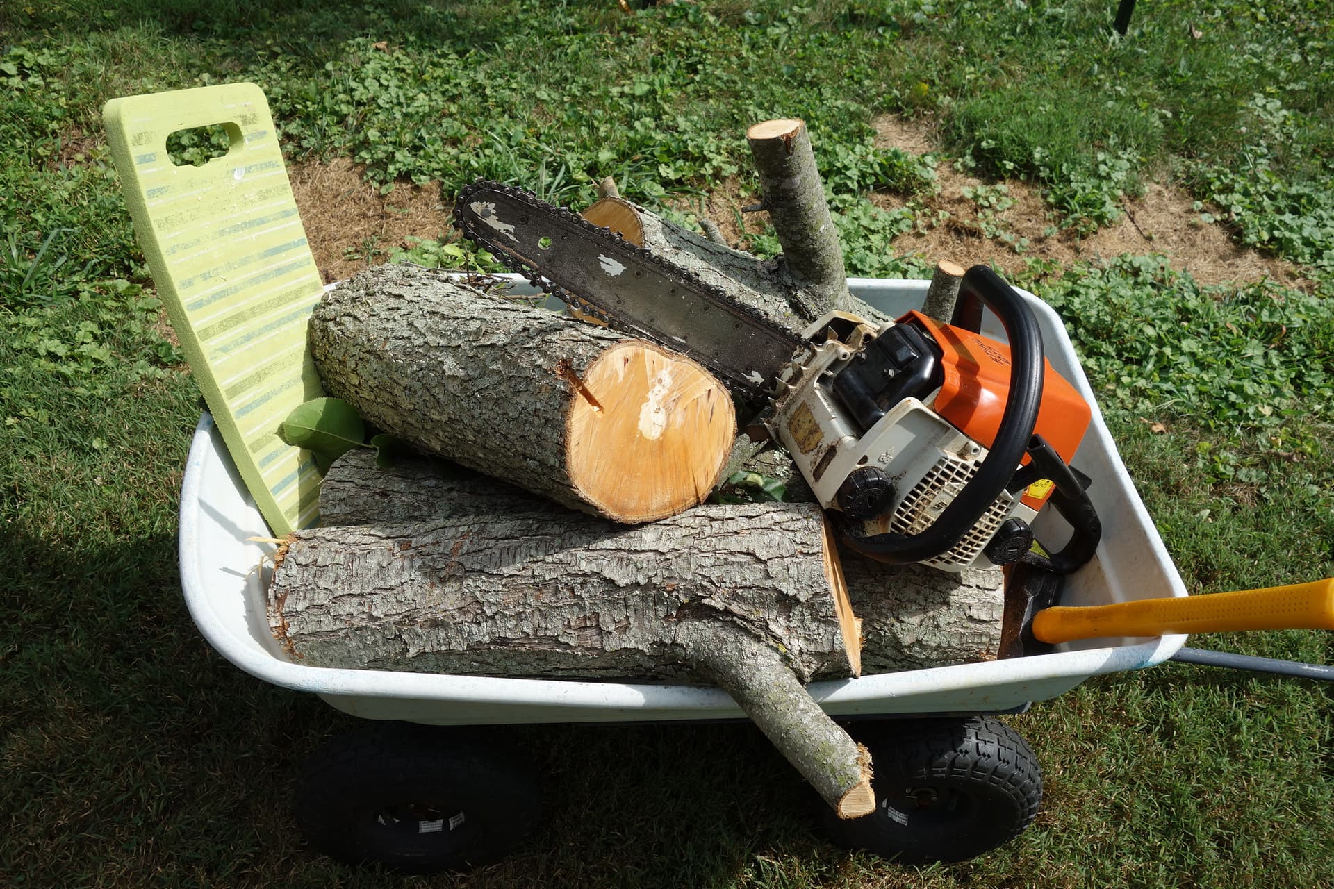 Stihl 017 still going after 29 years! - General Gardening - Growing Fruit