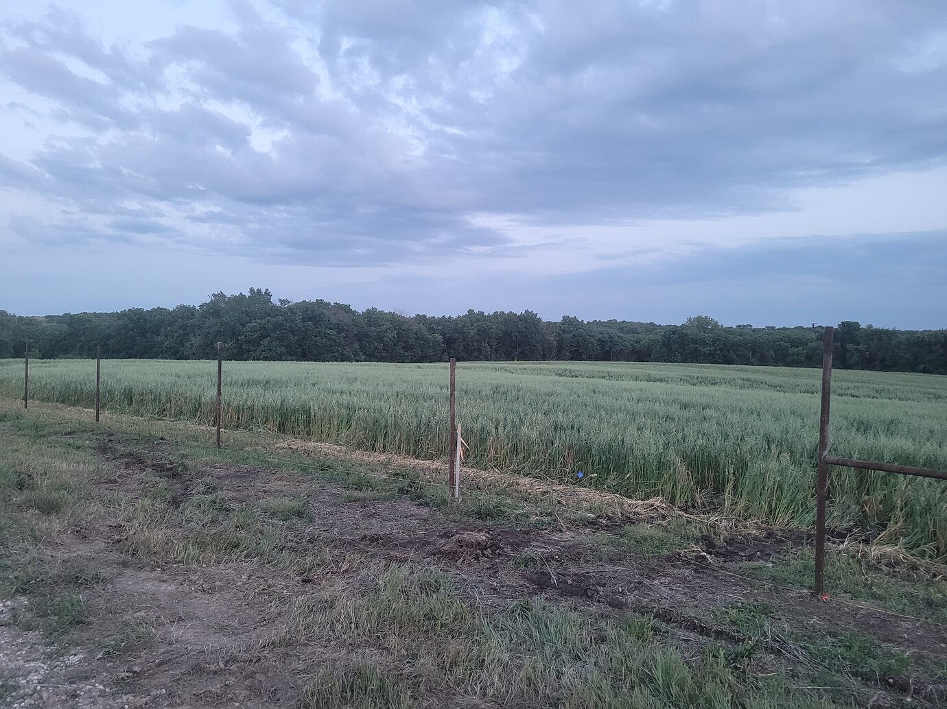 The first steps in having a great orchard - General Fruit Growing ...