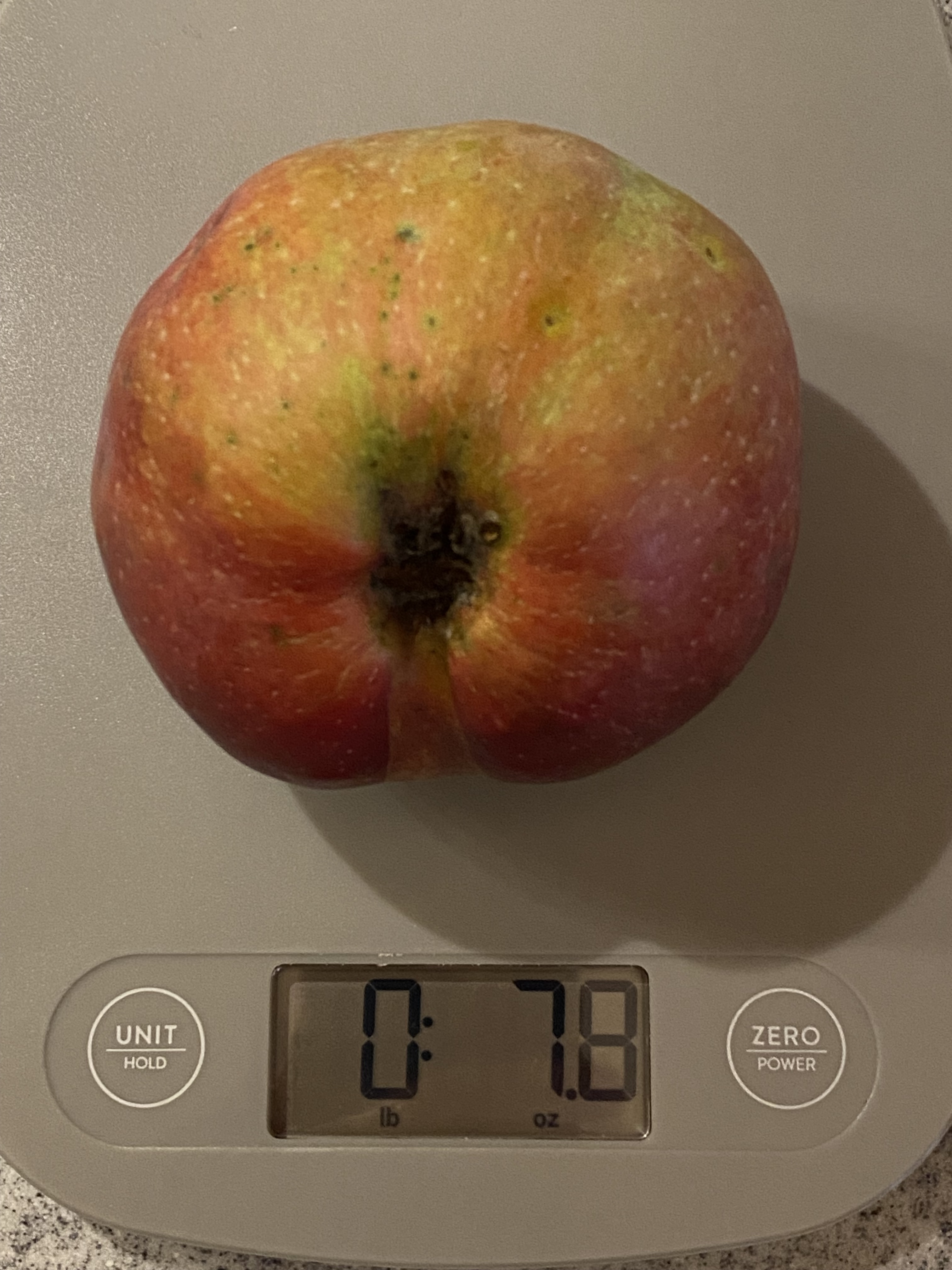 Williams Pride Apple Ripen Date - General Fruit Growing - Growing Fruit