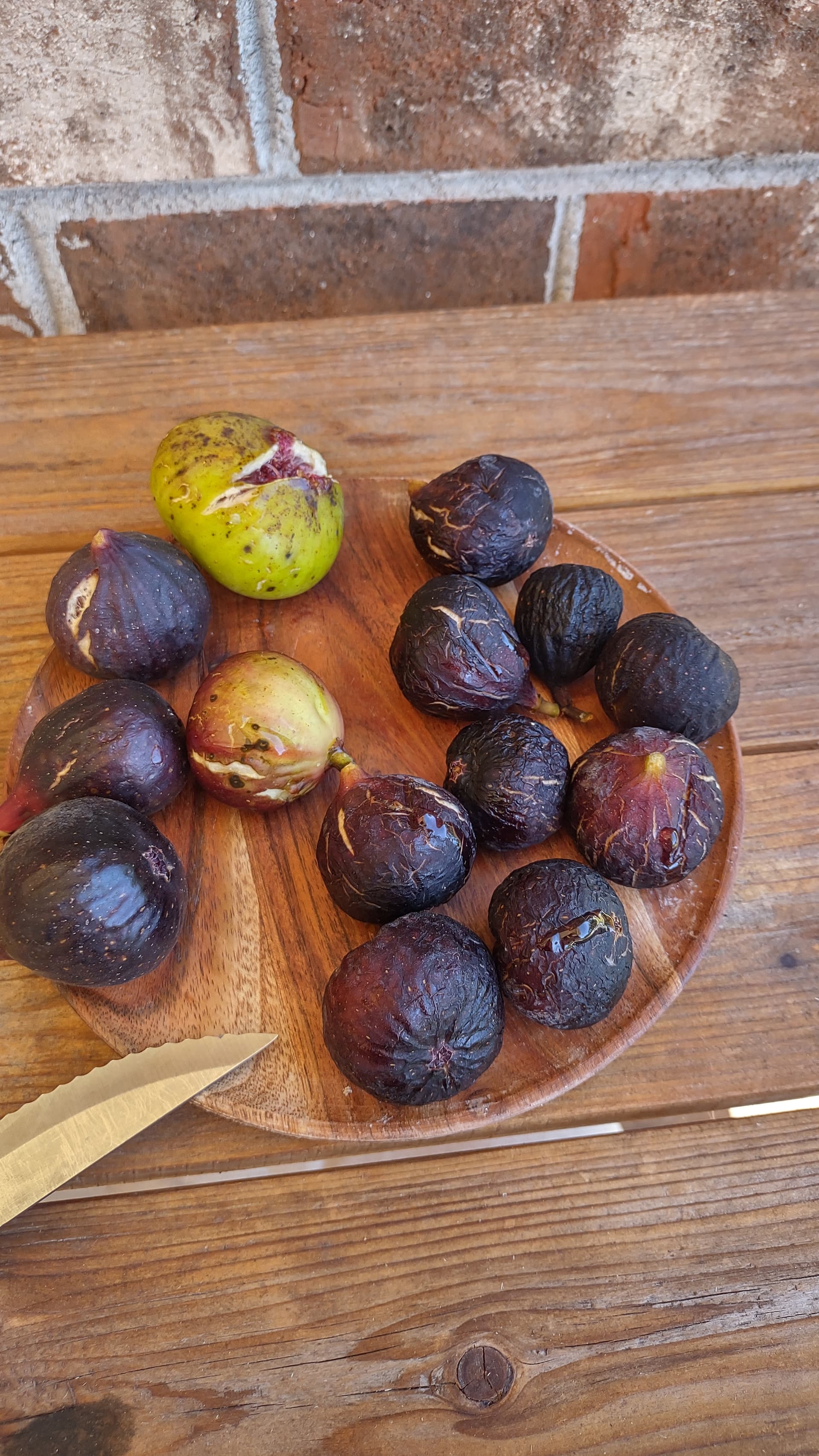 Fridge Figs: ripening, drying, concentrating, and storing whole figs in ...