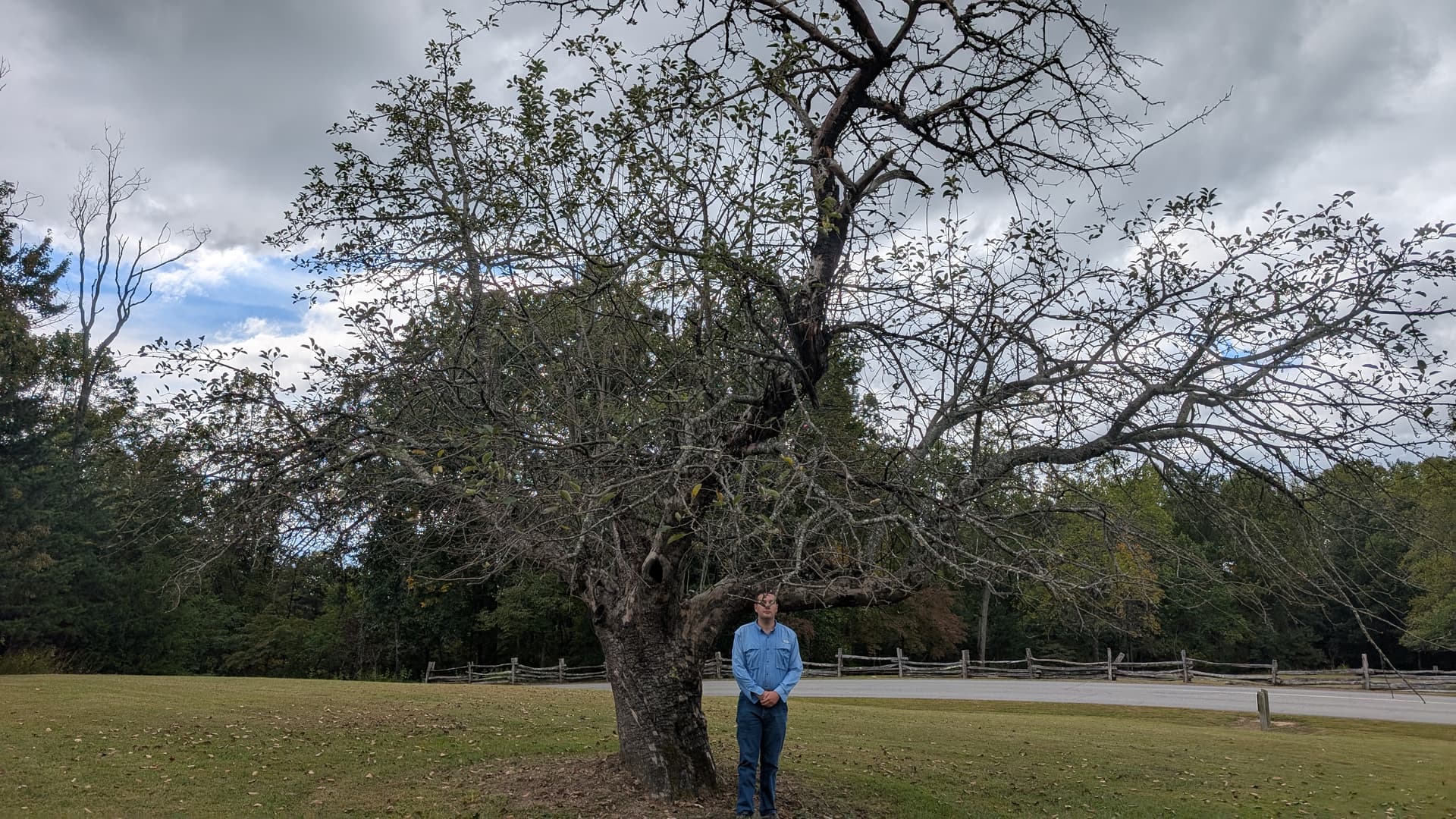 Resilient Beasts - General Fruit Growing - Growing Fruit