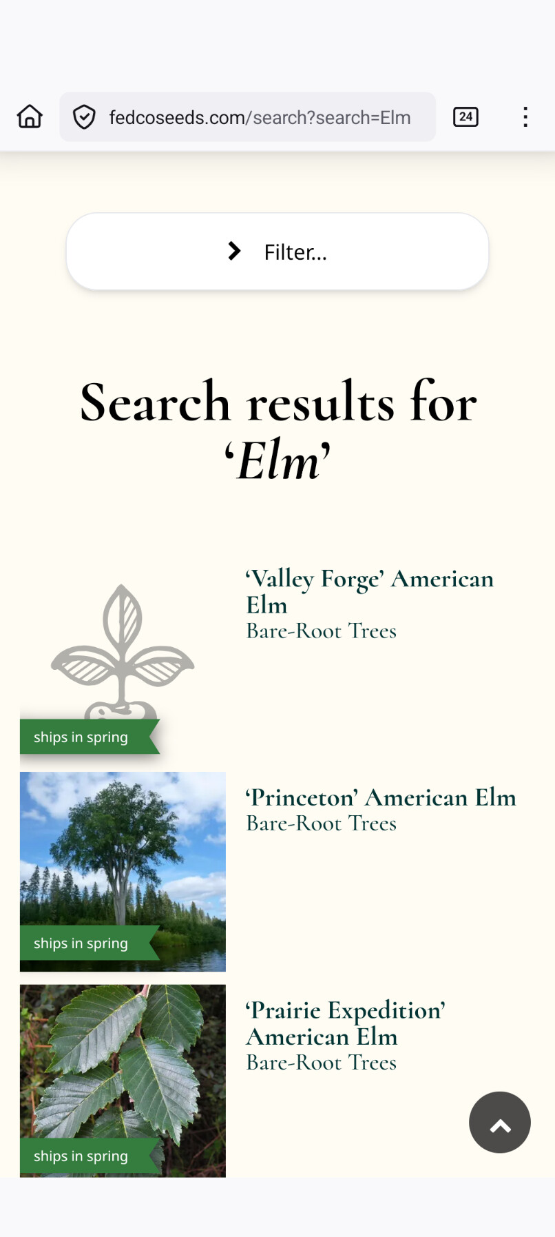 American Elm trees (DED resistant) experience? - General Gardening ...