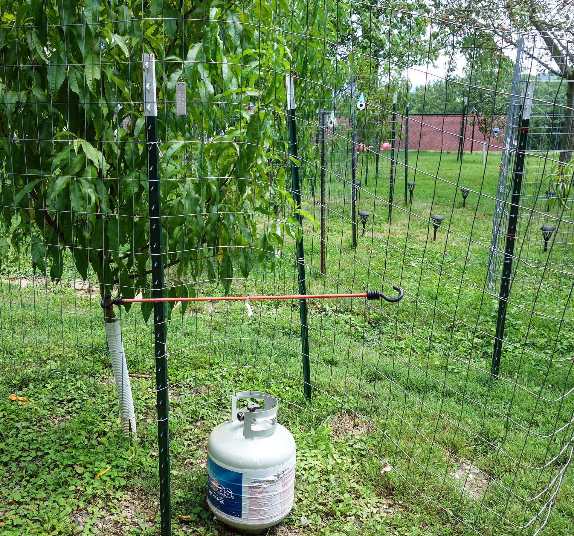 Door stop for the deer cages - General Fruit Growing - Growing Fruit
