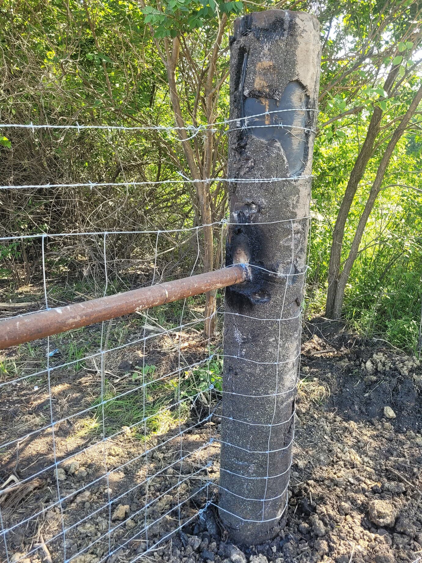 The first steps in having a great orchard - General Fruit Growing ...