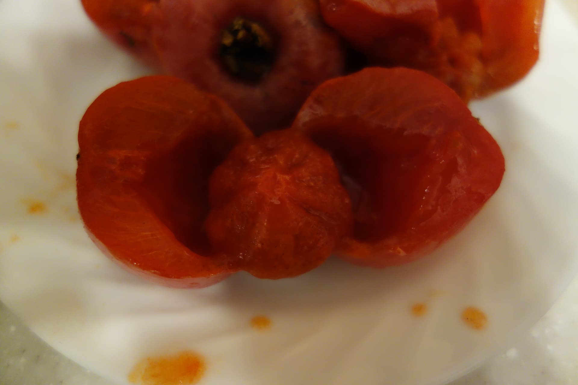 Nikita's Gift produces too many persimmons! - General Fruit Growing ...