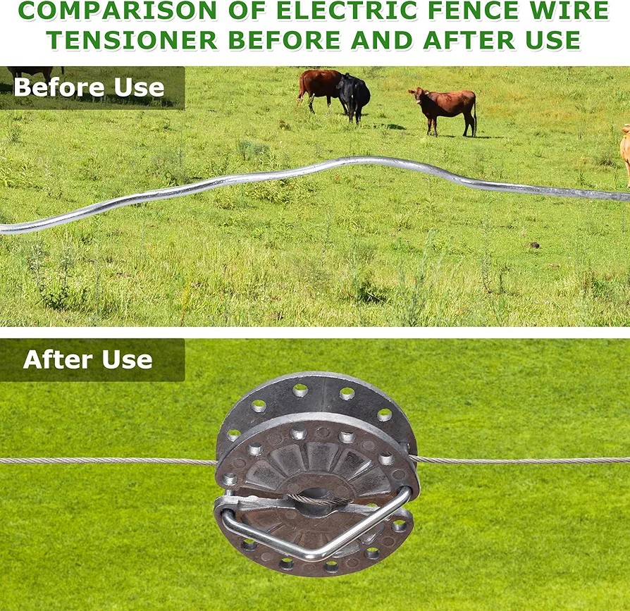 A list/description of different grape training methods? What to pick ...