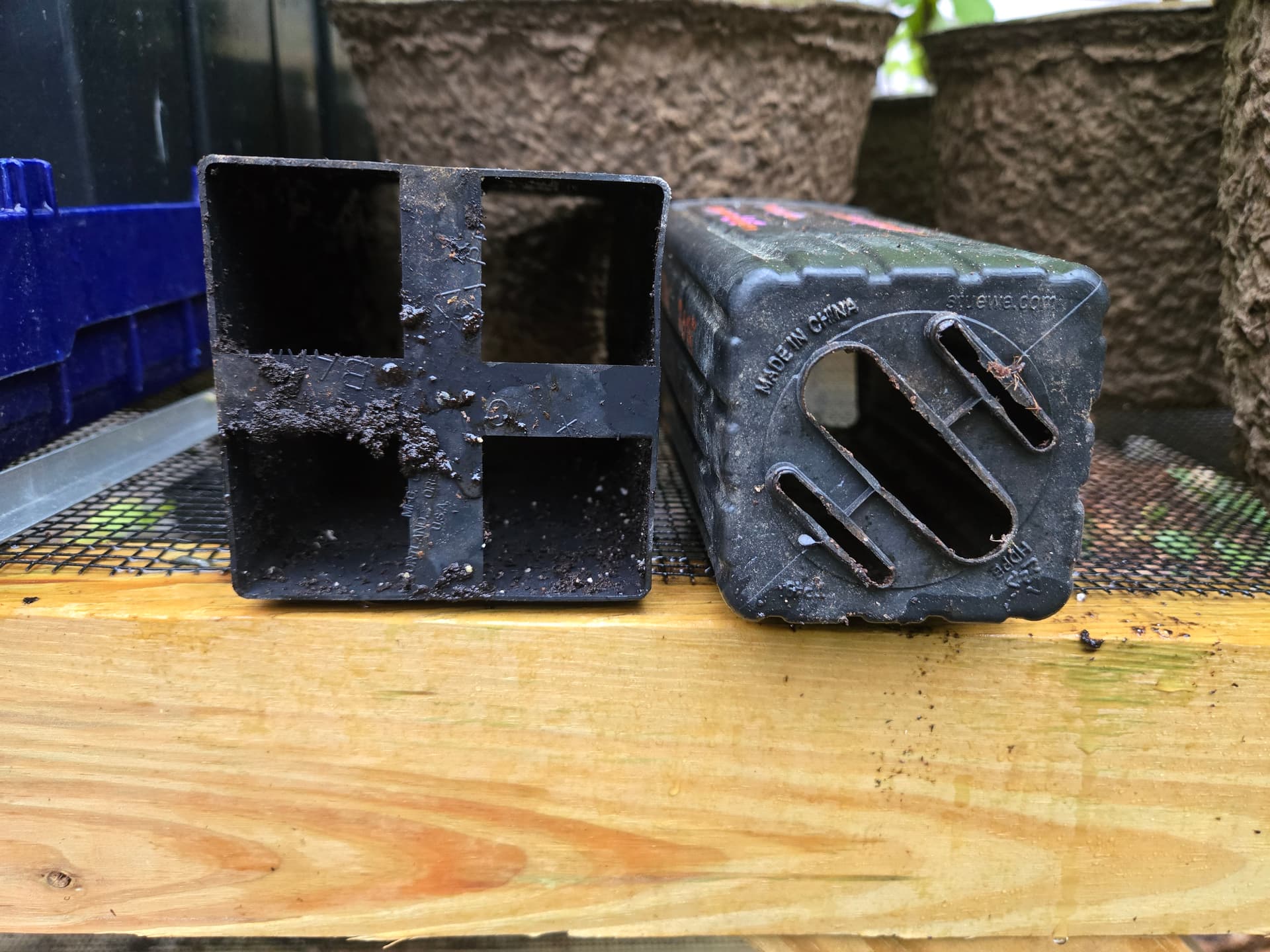 Potted Persimmon Root Performance Comparison - Look at these rootballs ...