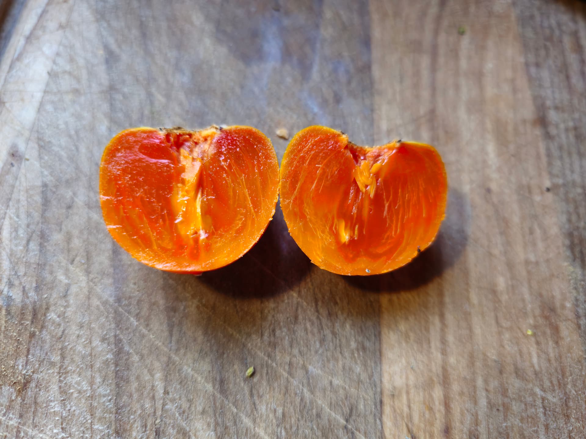 Early Ripening Persimmons? - General Fruit Growing - Growing Fruit