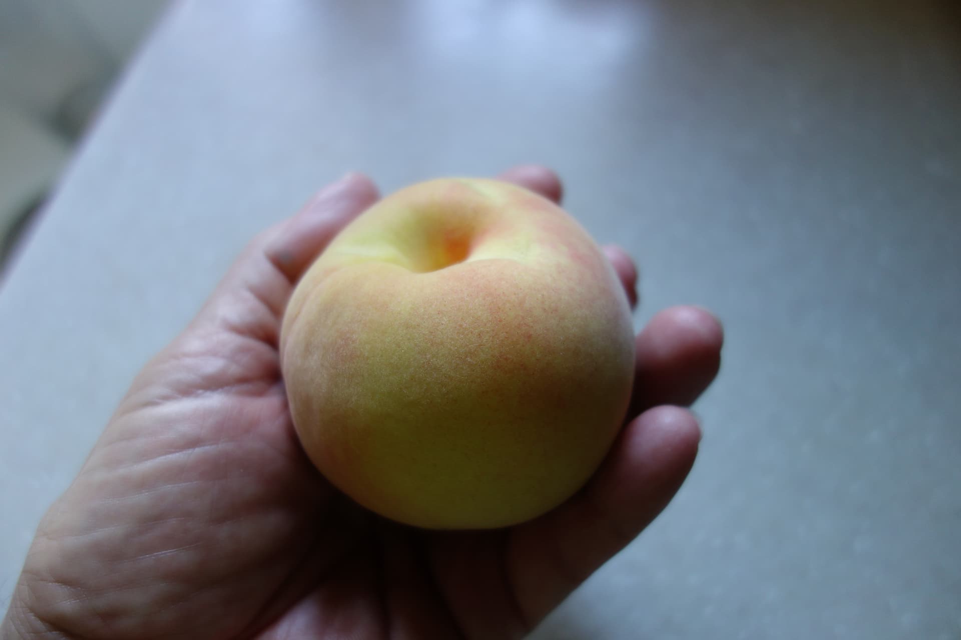 I'm thinking August Lady Peach in Z6 can go into early September ...