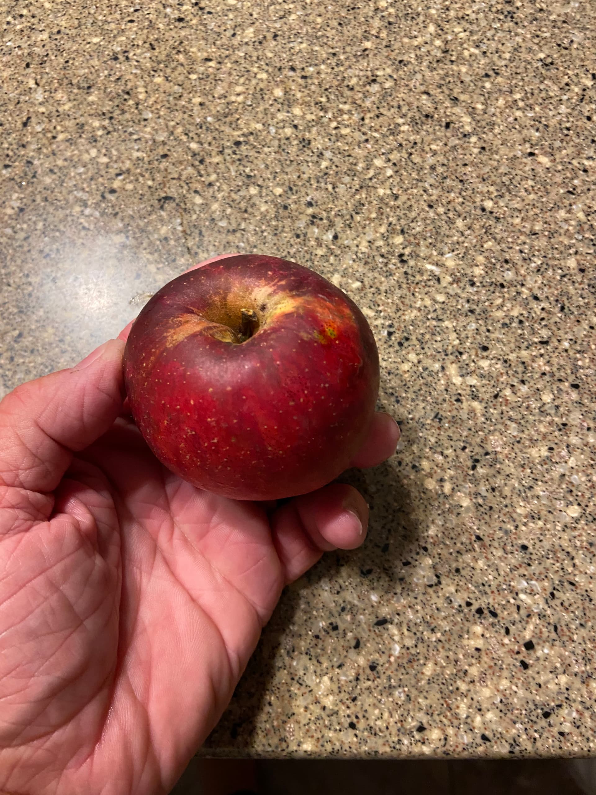 Note on Varieties from Hocking Hills Orchard - General Fruit Growing ...