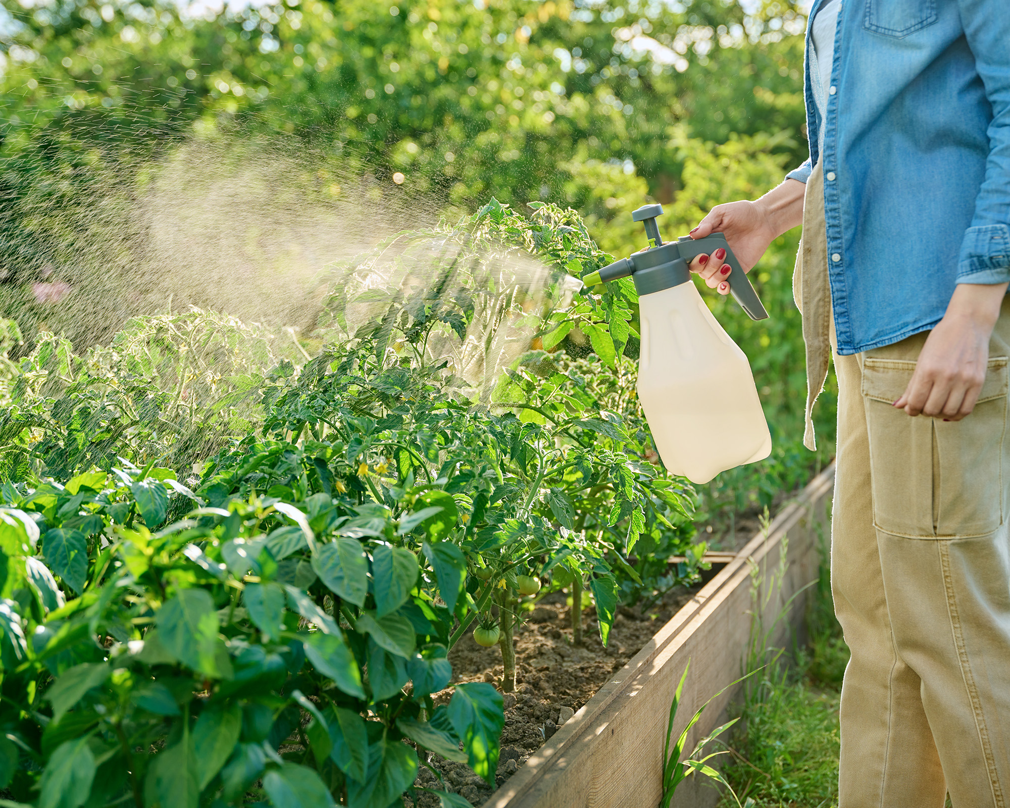Heavy metal works great in the orchard in moderation - General Fruit ...