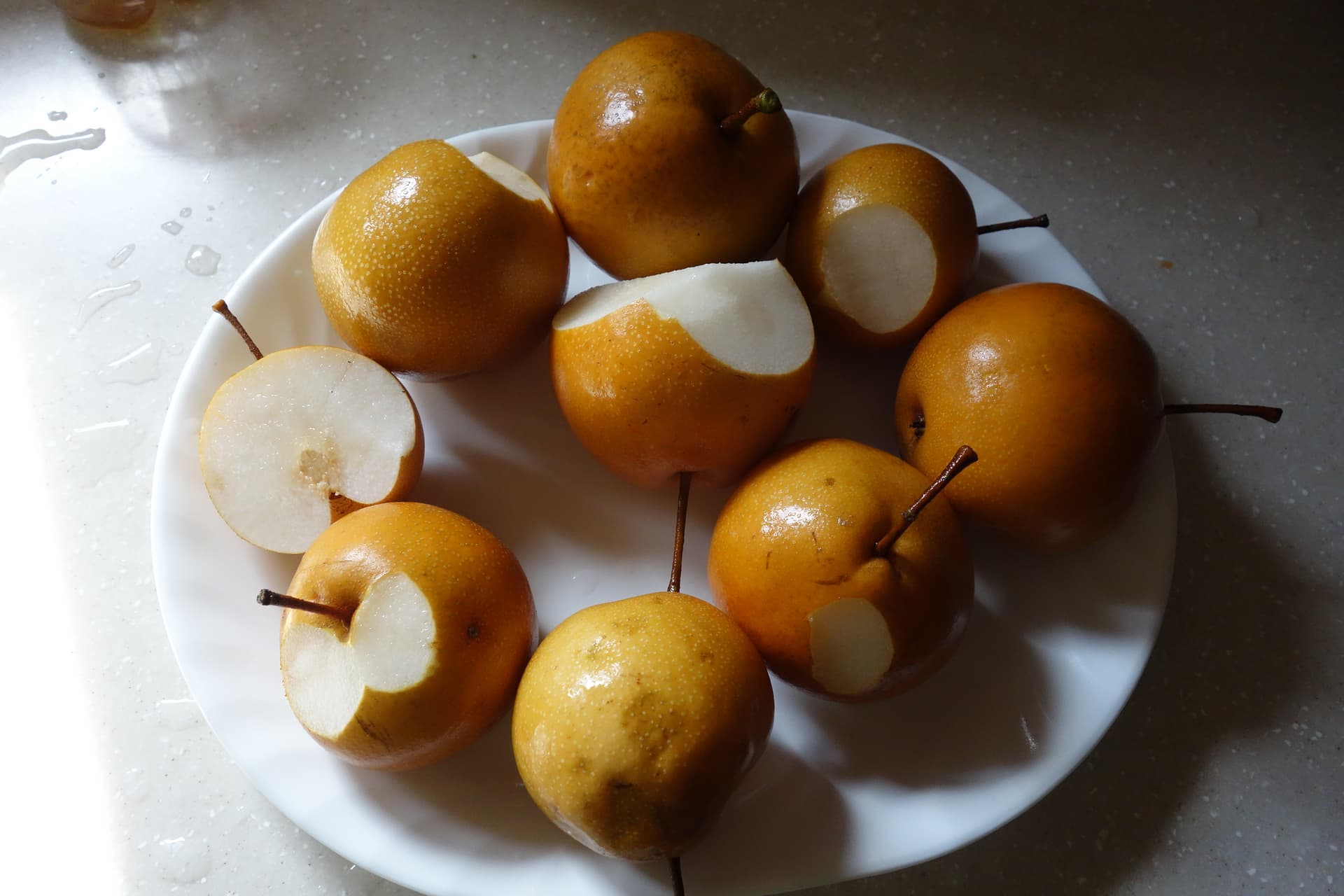 If you got too many Asian pears...juice them! - General Fruit Growing ...