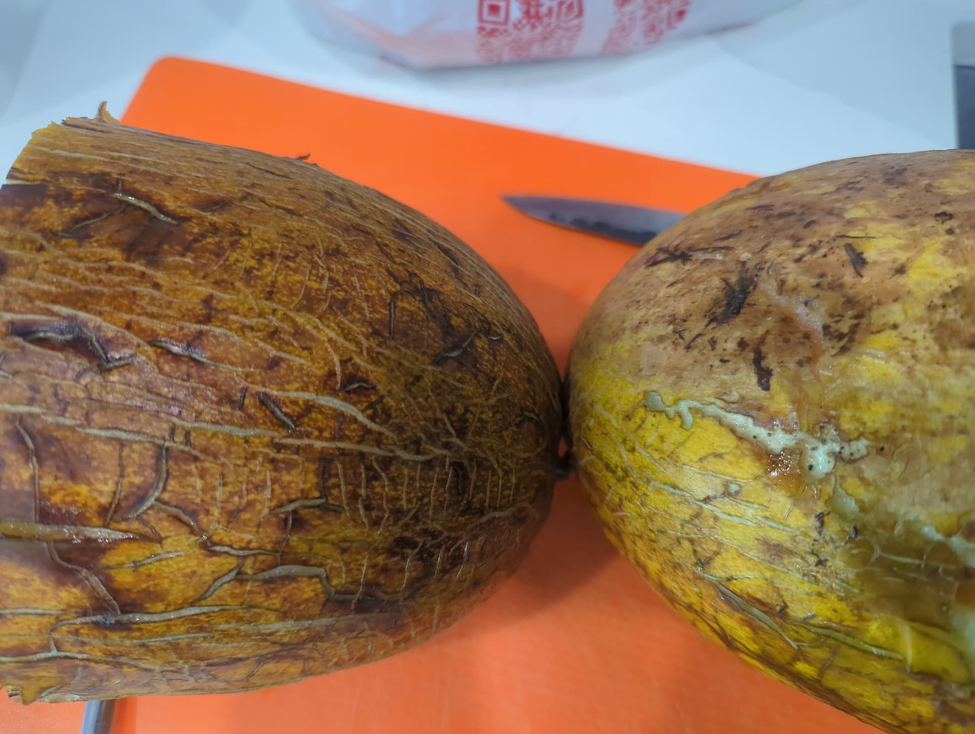 I crossed a Vietnamese stripe melon aka Thai musk melon with a ...
