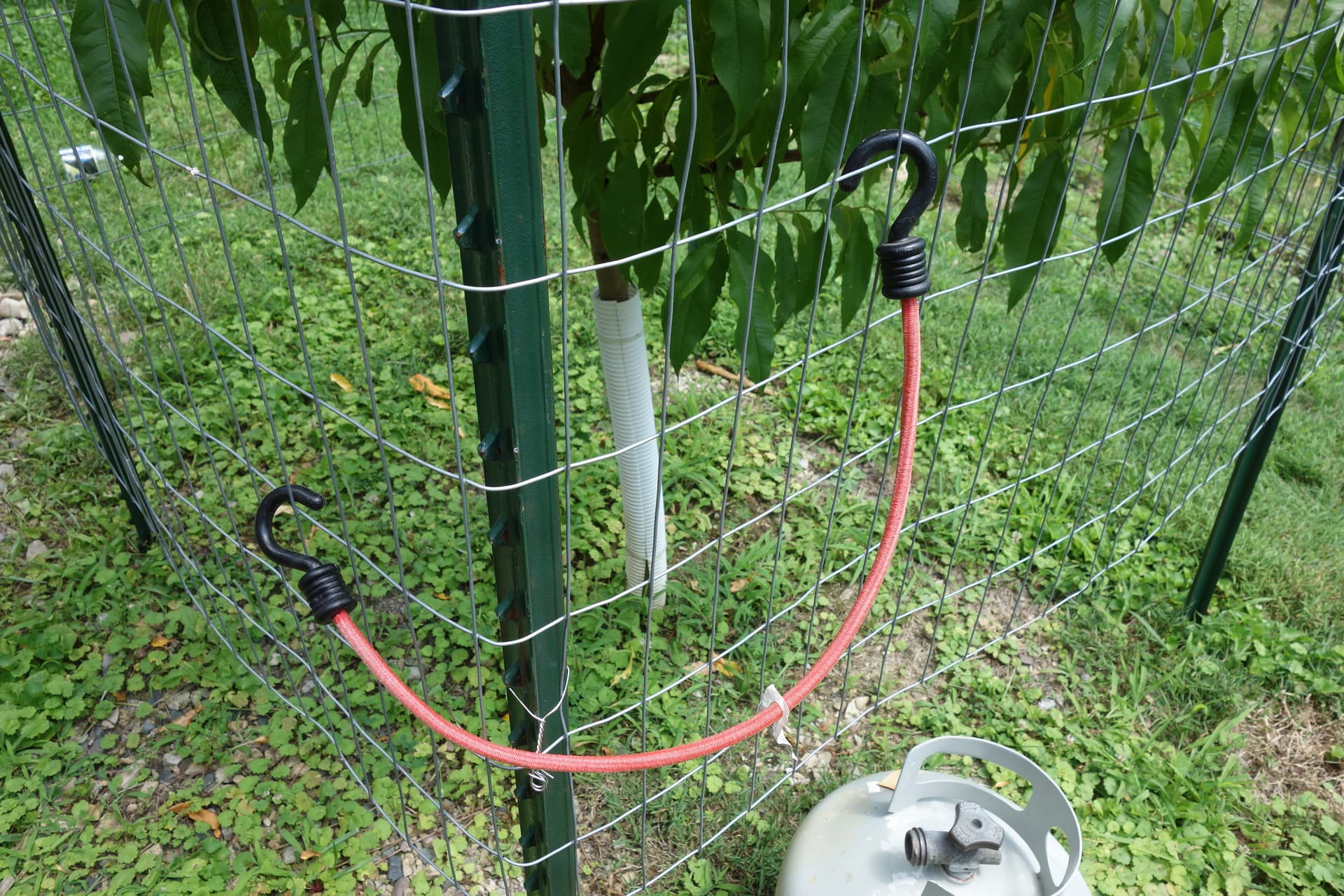 Door stop for the deer cages - General Fruit Growing - Growing Fruit