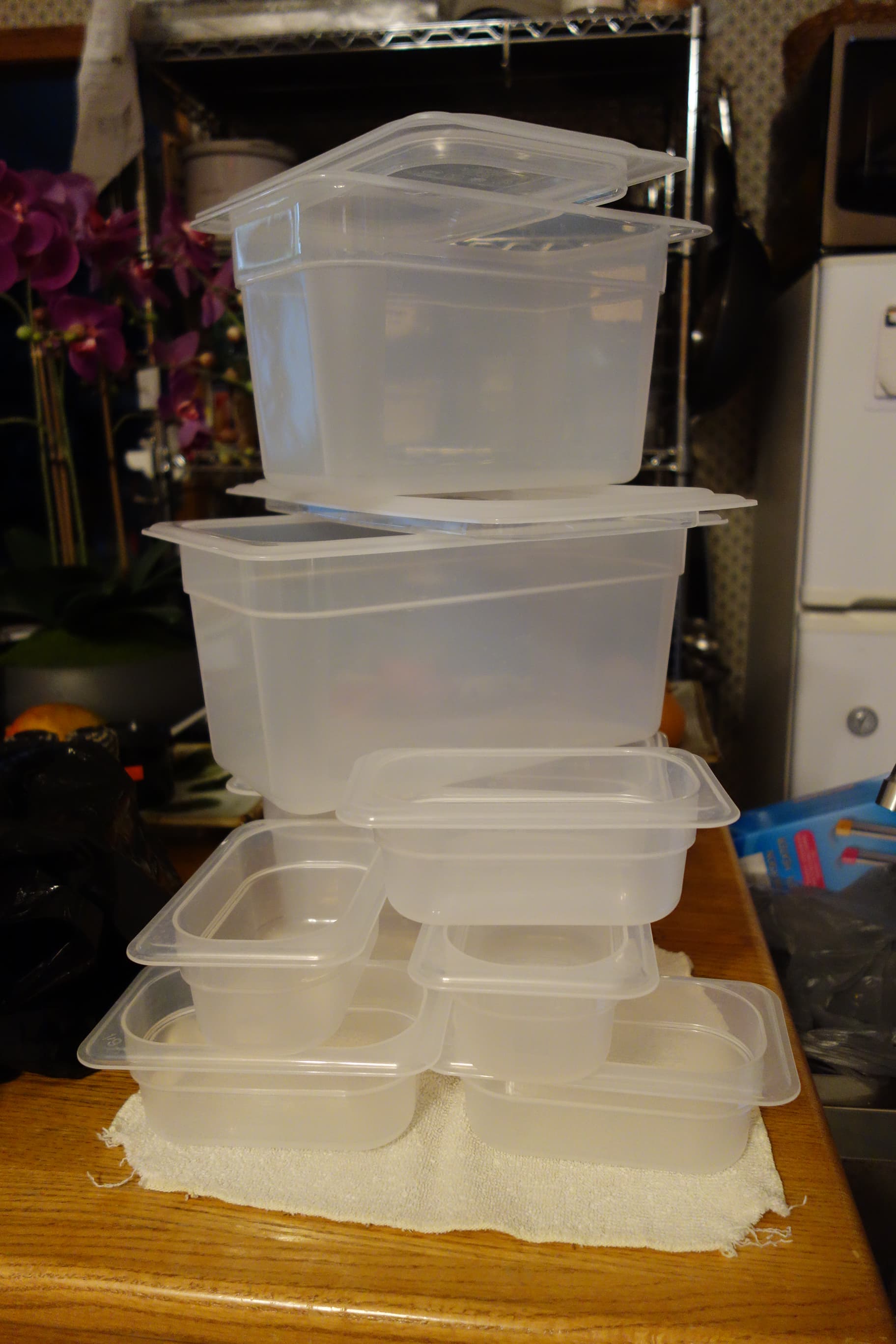 Anyone grow dates? - General Fruit Growing - Growing Fruit